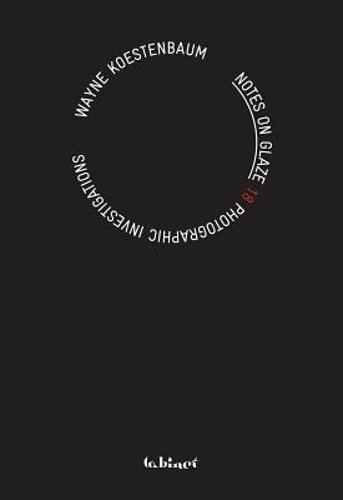 Notes on Glaze: 18 Photographic Investigations by Wayne Koestenbaum ...