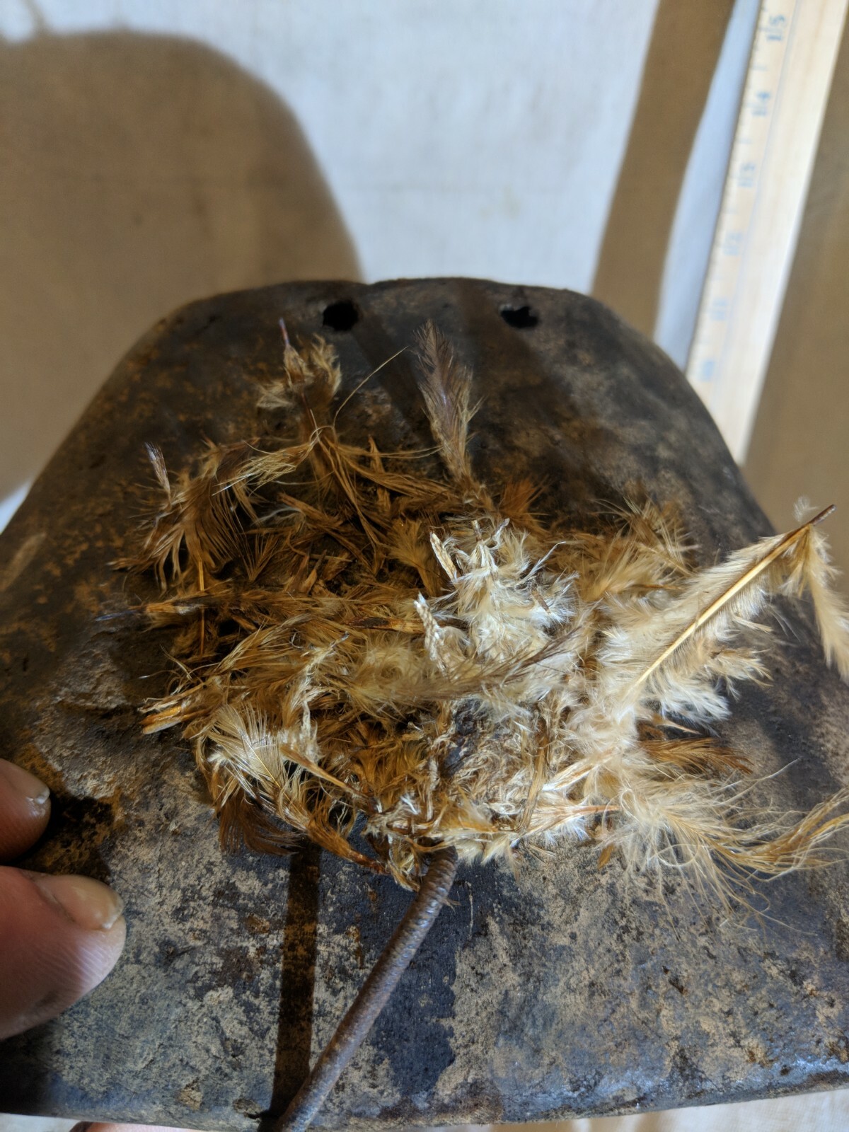 Unique Mblo Mask with Feathers on Top — Authentic Carved African Wood ...