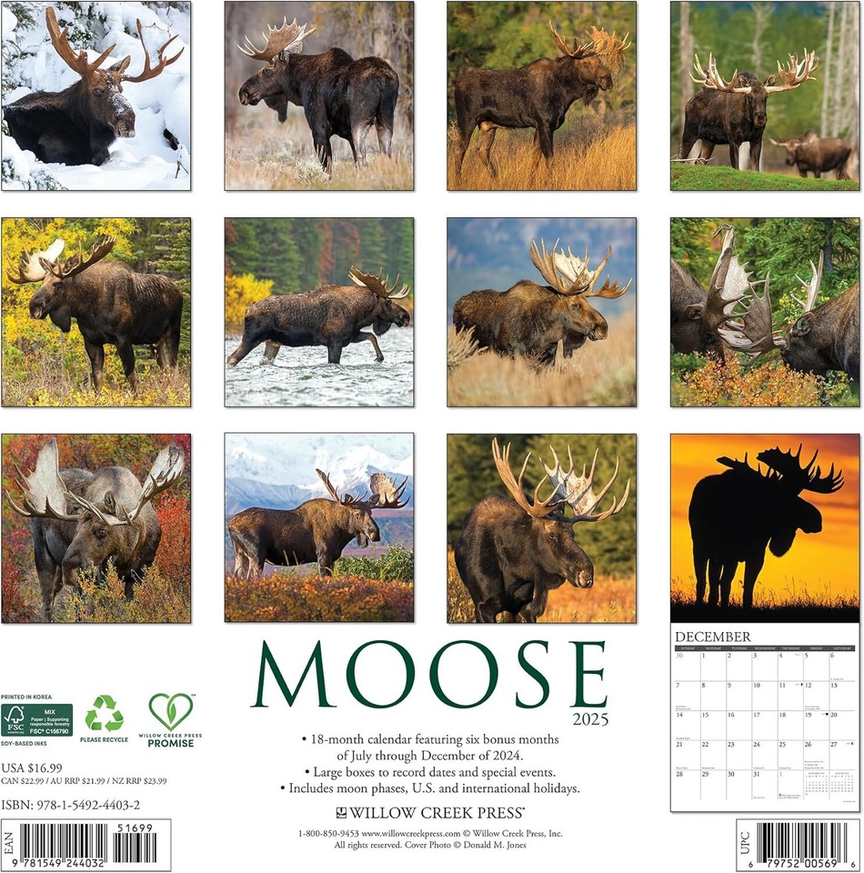 MOOSE - 2025 WALL CALENDAR - BRAND NEW - 44032 | eBay