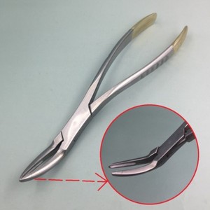 Root Fragment Minimal Invasive Maxillary Tooth Extraction Forcep Curved ...