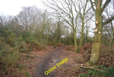 Photo 6x4 Footpath, Rushmere Heath Broke Hall/TM1943 c2014 | eBay UK