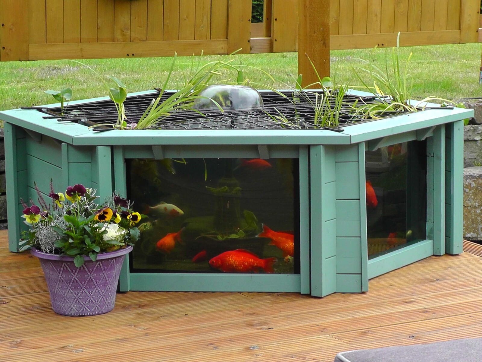 Pond with large windows Lily Garden Aquarium raised hexagon | eBay