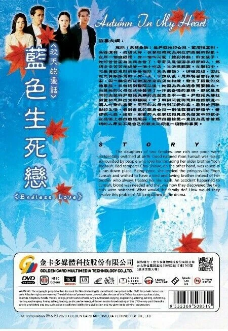 Endless Love Korean Poster