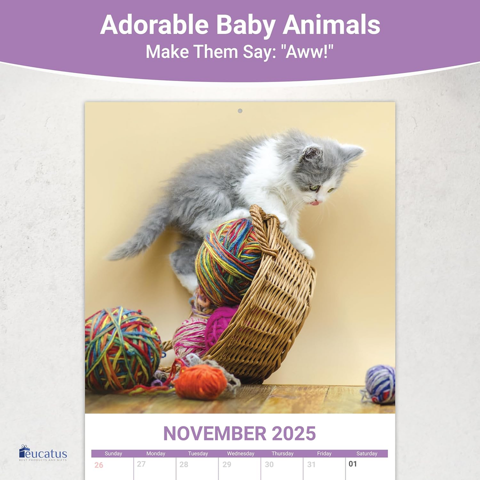 Super Cute 18 Month Baby Animals Wall Calendar 2025-2026. Big 12X12 ...