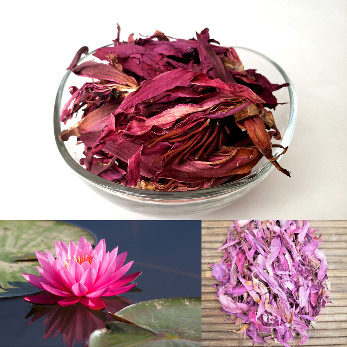 Red Lotus Flower Water A Red Lotus Flower And Green Leaf, Lotus