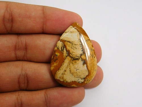 Amazing Natural African Picture Jasper Cabochon Loose Gemstone 60 Cts ...