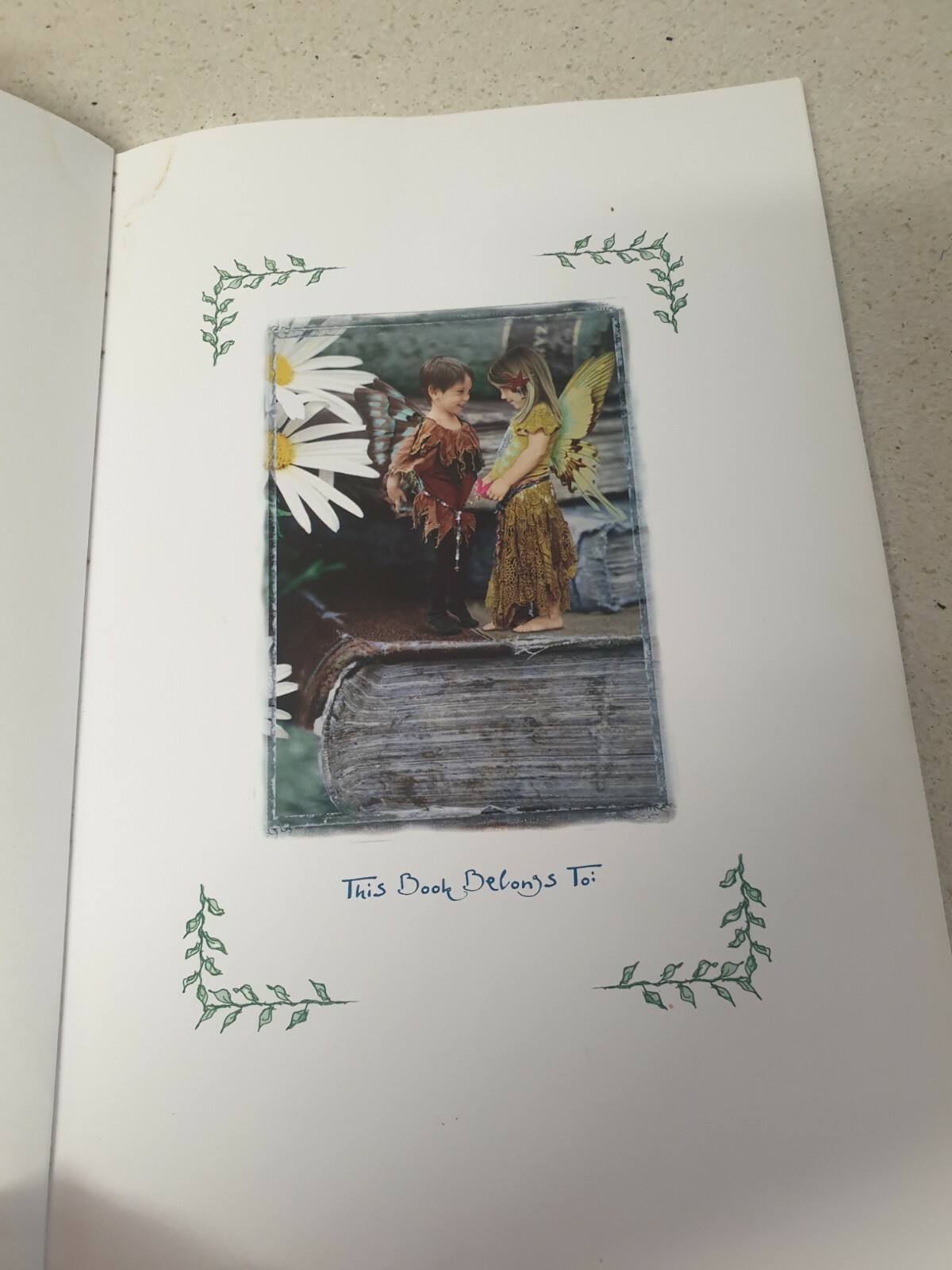 THE SECRET WORLD OF FAIRIES by Bernard Rosa & Janine Fuller - PB - FREE ...