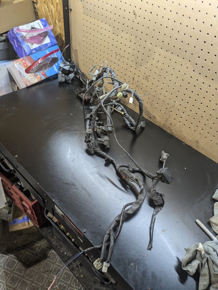 2005 Yamaha YZF-R6 YZF R6 OEM Main Engine Wire Harness Cable | eBay