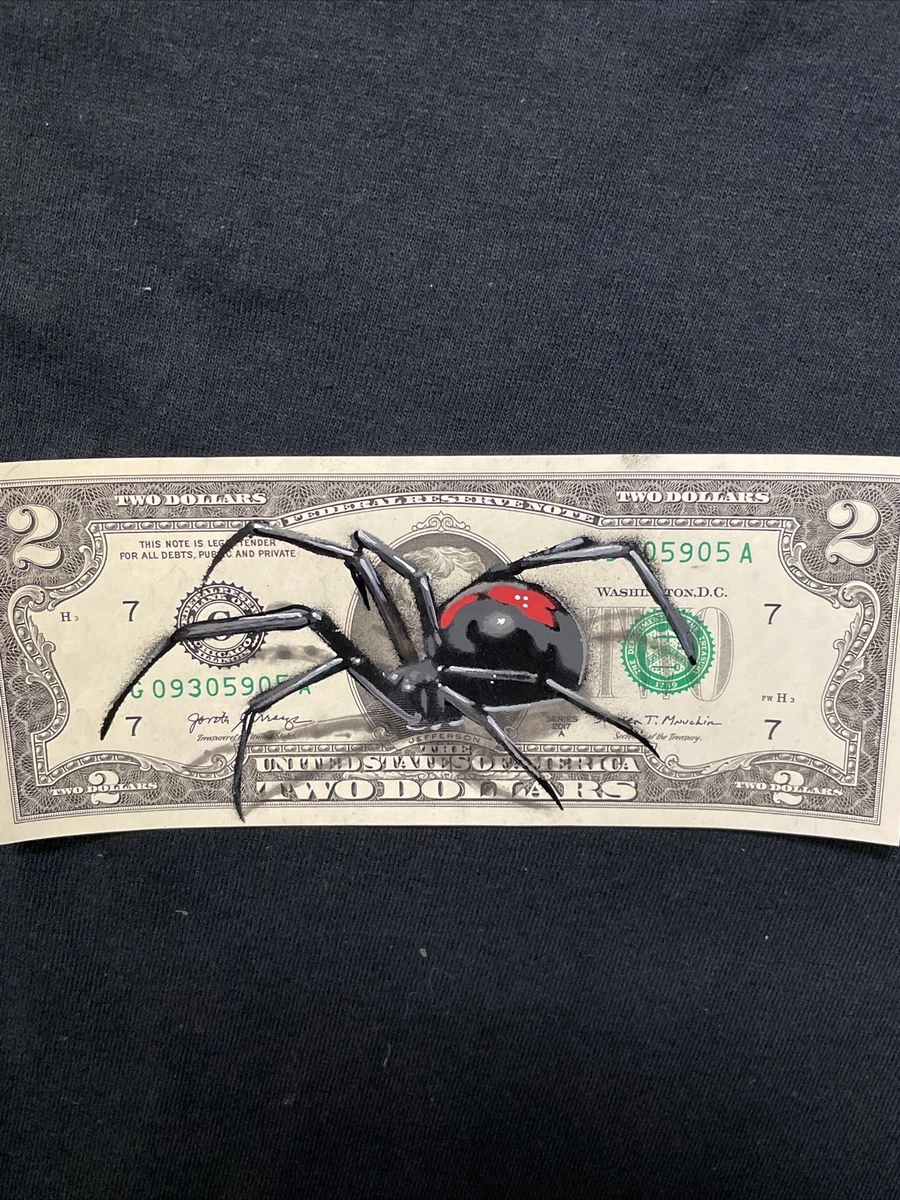 Spider Dollar Bill
