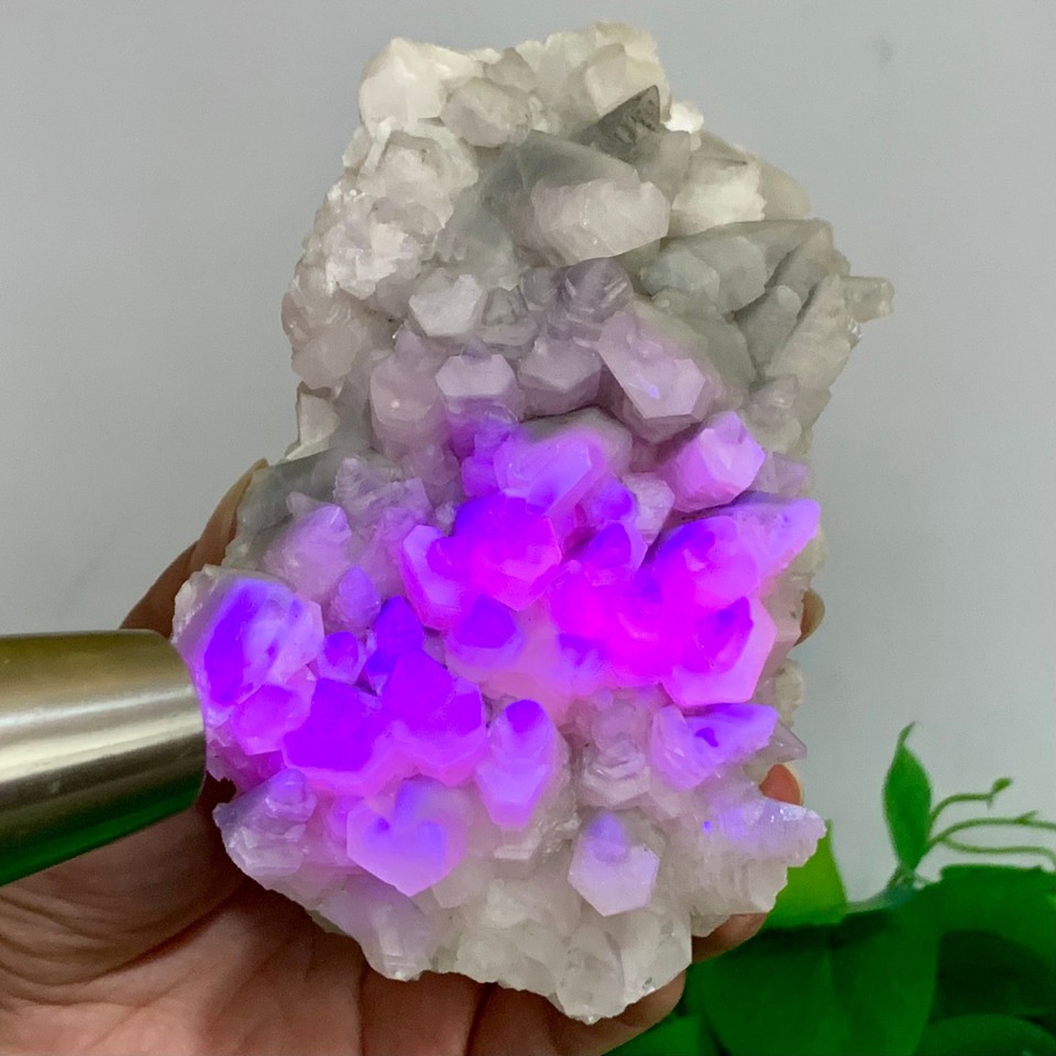 1.58LB Natural Transparent White Fluorescent Calcite Crystal Quartz ...