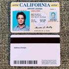 Marty McFly ID CARD - Back to the Future - Michael J Fox - License ...