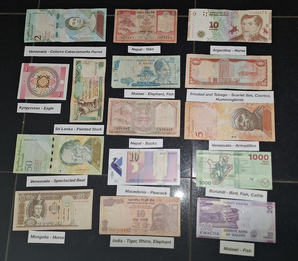 Lot of 15 Animal Kingdom Wildlife Banknotes Foreign Paper Money World ...