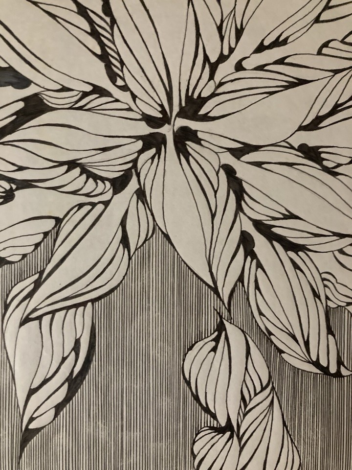 Very Nice Drawing Abstract Ink On Paper 1980 To Identify Flower | eBay UK