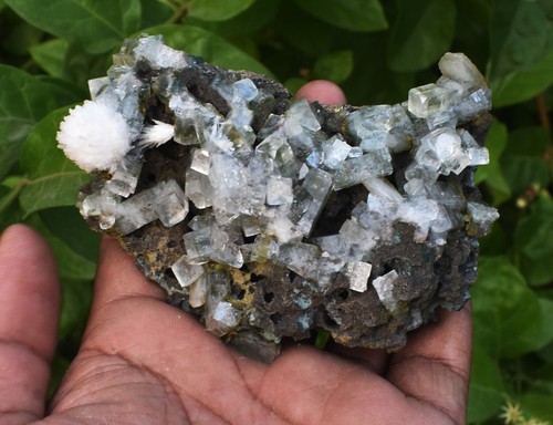 MORDENITE ON APOPHYLLITE FORMATION MINERAL SPECIMEN | eBay