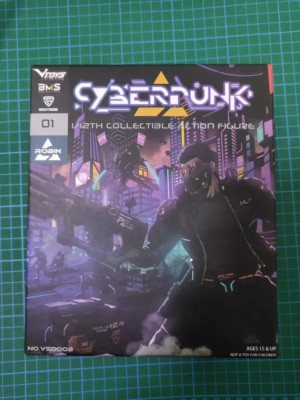 Cyberpunk Robin VTOYS X BMS X Collectible 1/12 Action Figure | eBay