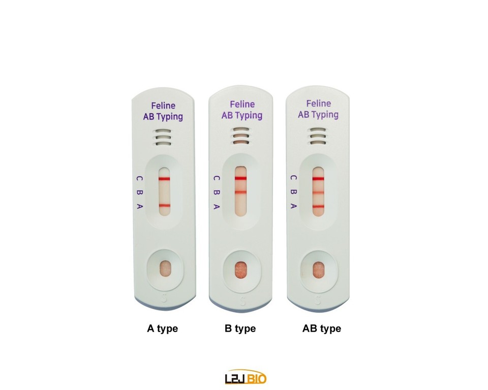 [L2J BIO] Feline AB Blood Typing Rapid Kit, Health Test Kit for Pet ...