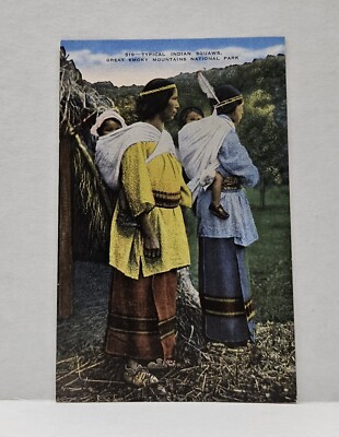 Vintage Postcard Squaws and Papoose, Native American Cherokee Indian ...