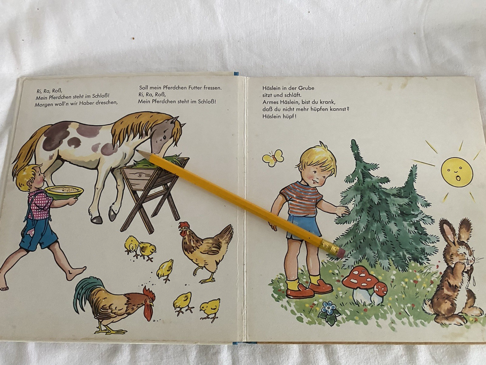 Maikäfer flieg! Bilderbuch mit zwölf Kinderreimen Junior International ...