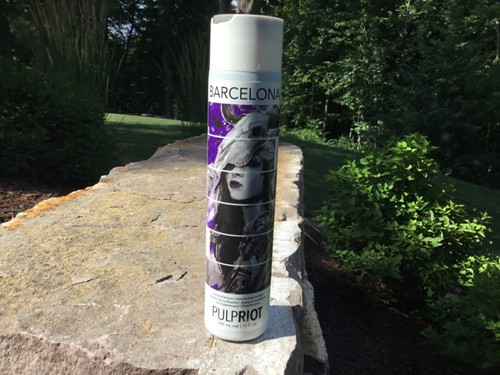 Pulp Riot Barcelona Purple Shampoo For Blonde ,gray Hair 10 oz Free ...