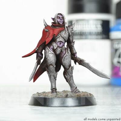 DARK ELF WARRIOR || Fantasy Female Drow, Tabletop Unpainted Resin Miniature | eBay UK