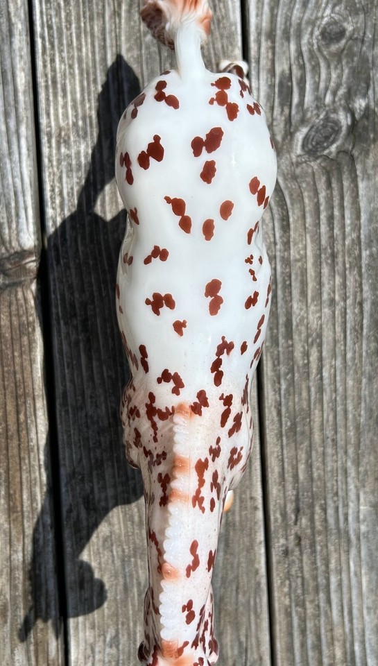 Breyer 2022 BreyerFest Glossy Chestnut Leopard Appaloosa Rotating Draft ...