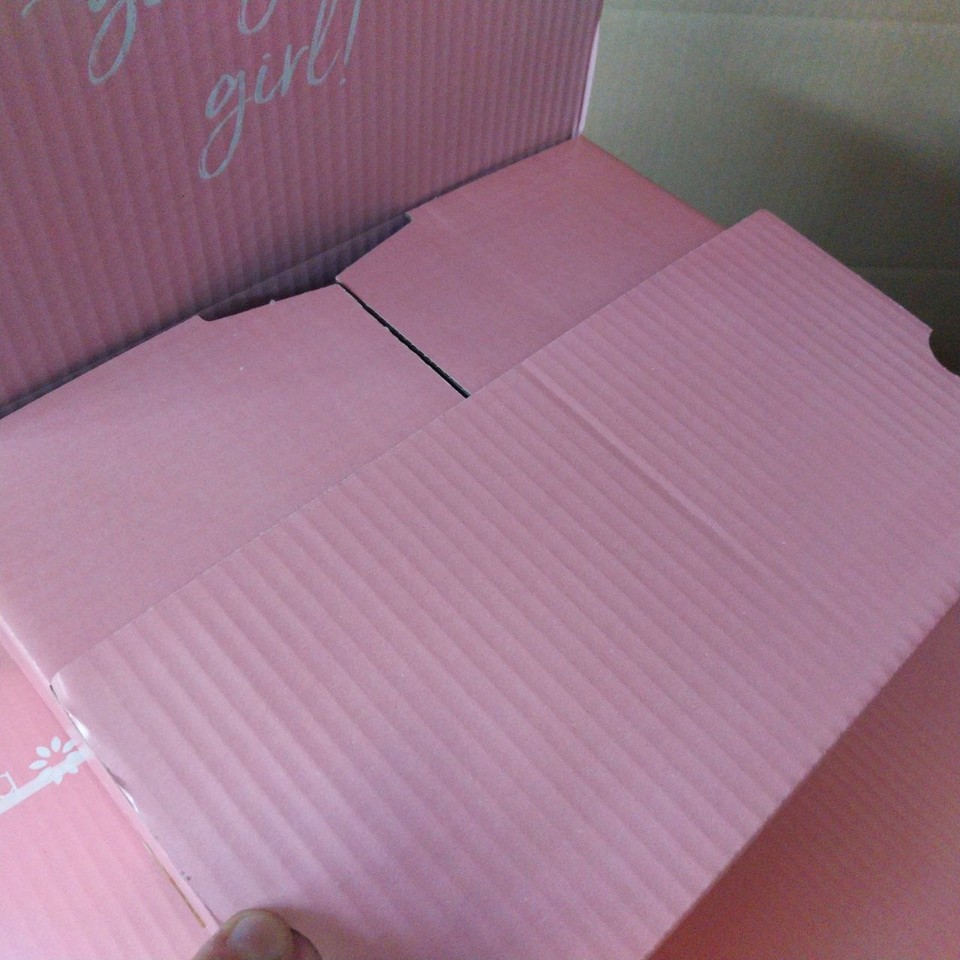 75x Versand Karton Verpackung Kartonage ca.29x23x12cm DHL Hermes ...