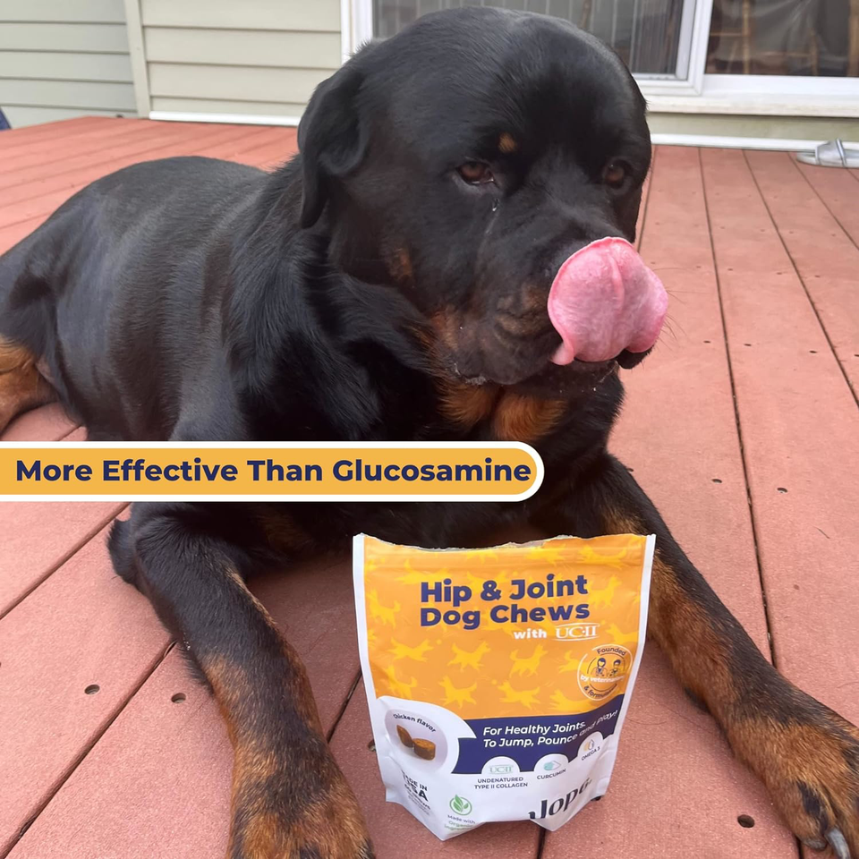 Jope Hip and Joint Dog Chews with UC-II® Collagen - More Effective Than ...