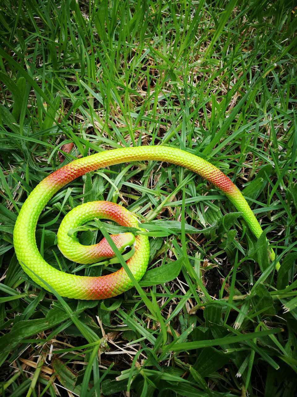 Rubber Snakes Realistic Trick Toy Small Snakes Simulation Snake Whimsy ...