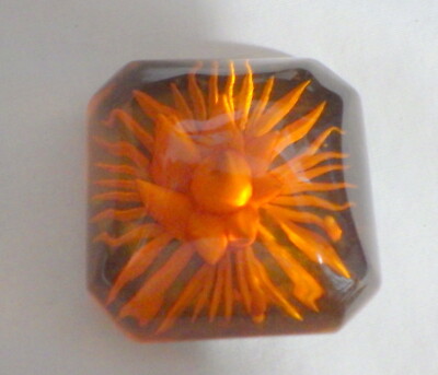 DECO TRANSPARENT CELLULOID BROOCH W, FLOWER INSIDE 2' SQUARE | eBay