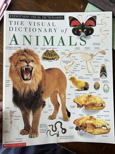 Excellent: DK Eyewitness Visual Dictionaries: The Visual Dictionary of ...