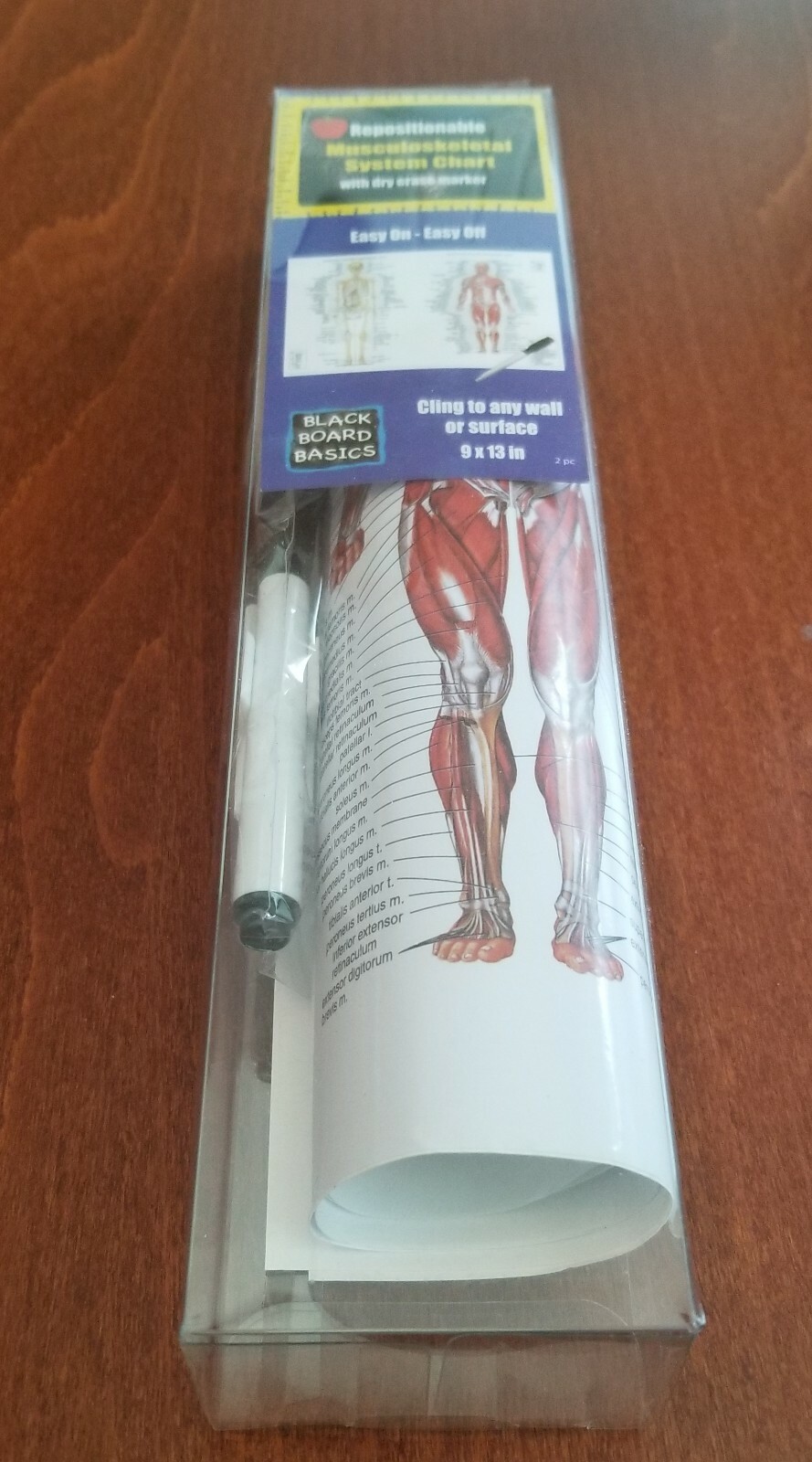 MUSCULOSKELETAL SYSTEM CHART: LAMINATED WALL CHART By BLACK BOARD ...