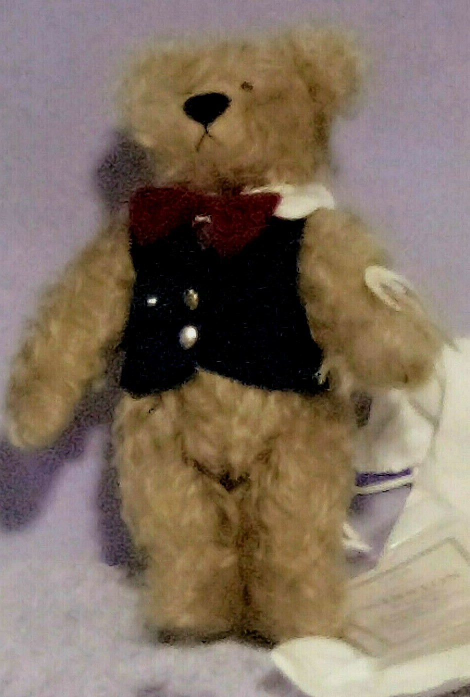 ~ Winston ~ Bear Essentials by Artist Pamela Wooley | eBay