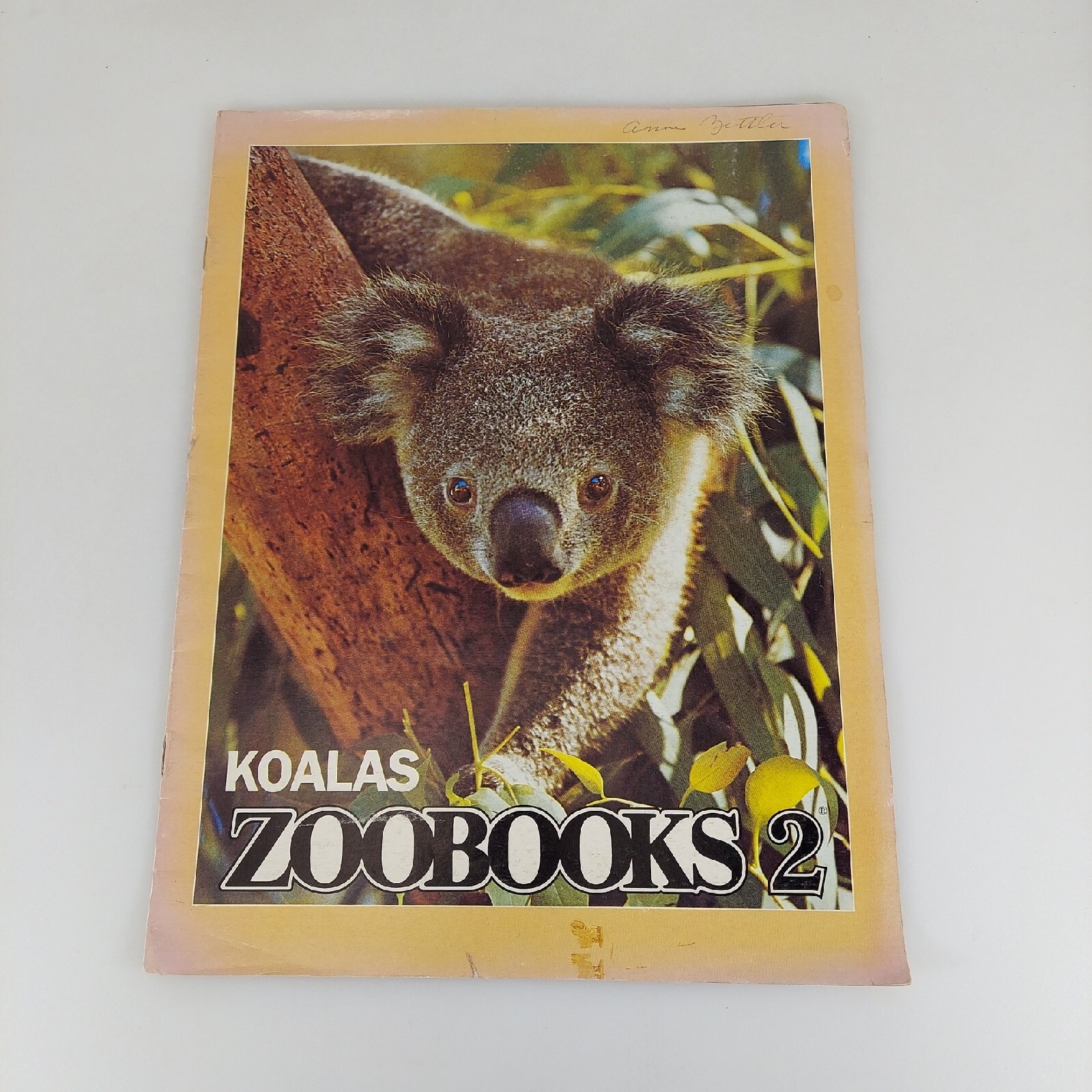 Zoobooks 2 Magazine 1983 Koalas | eBay