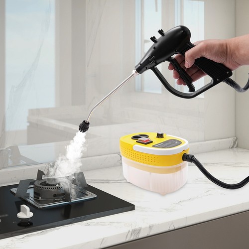 2500W Car Steamer for Auto Detailing High Pressure Handheld Steam ...