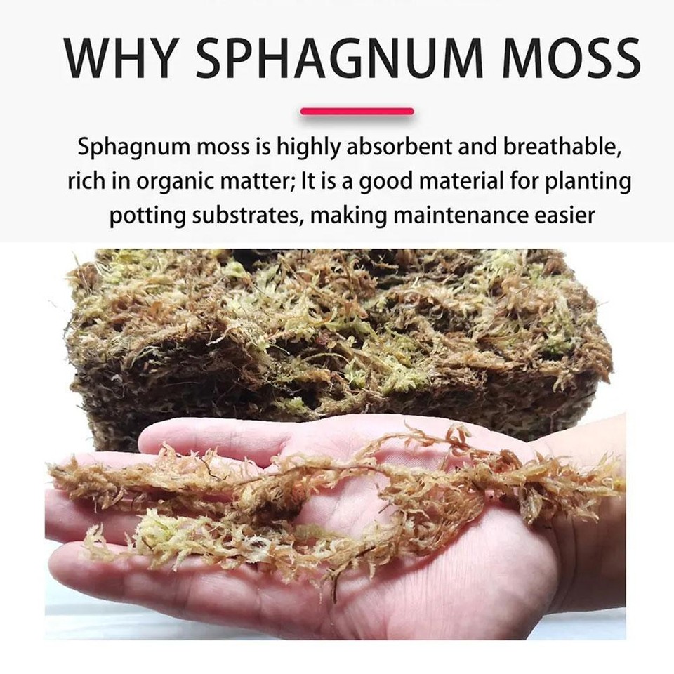 Compressed Sphagnum Moss for Potted Plant Orchid Potting Mix Peat Moss ...
