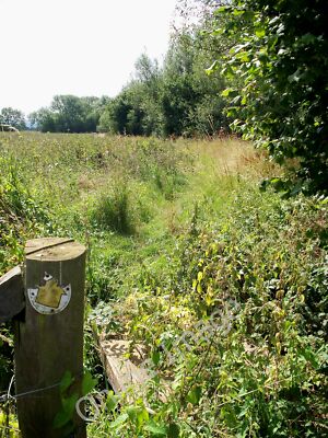 Photo 12x8 Over the ditch Chipping Campden The footpath crosses the ...