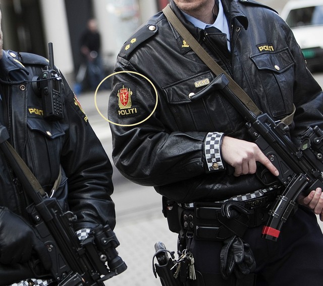 FANCY DRESS PARTY COSTUME Denmark Police Dansk Danmark POLITI velkrö ...