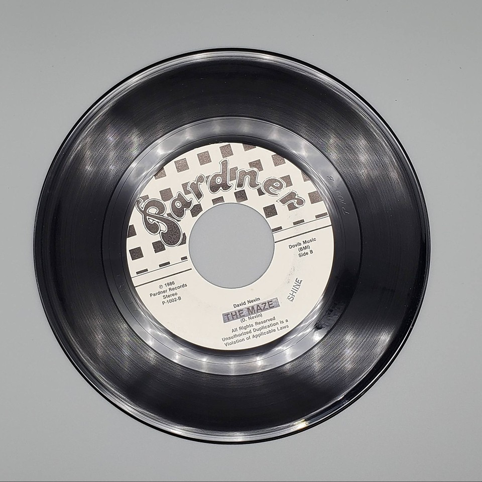 David Nevin Love Is In View Single Record Pardner 1986 P-1002 | eBay