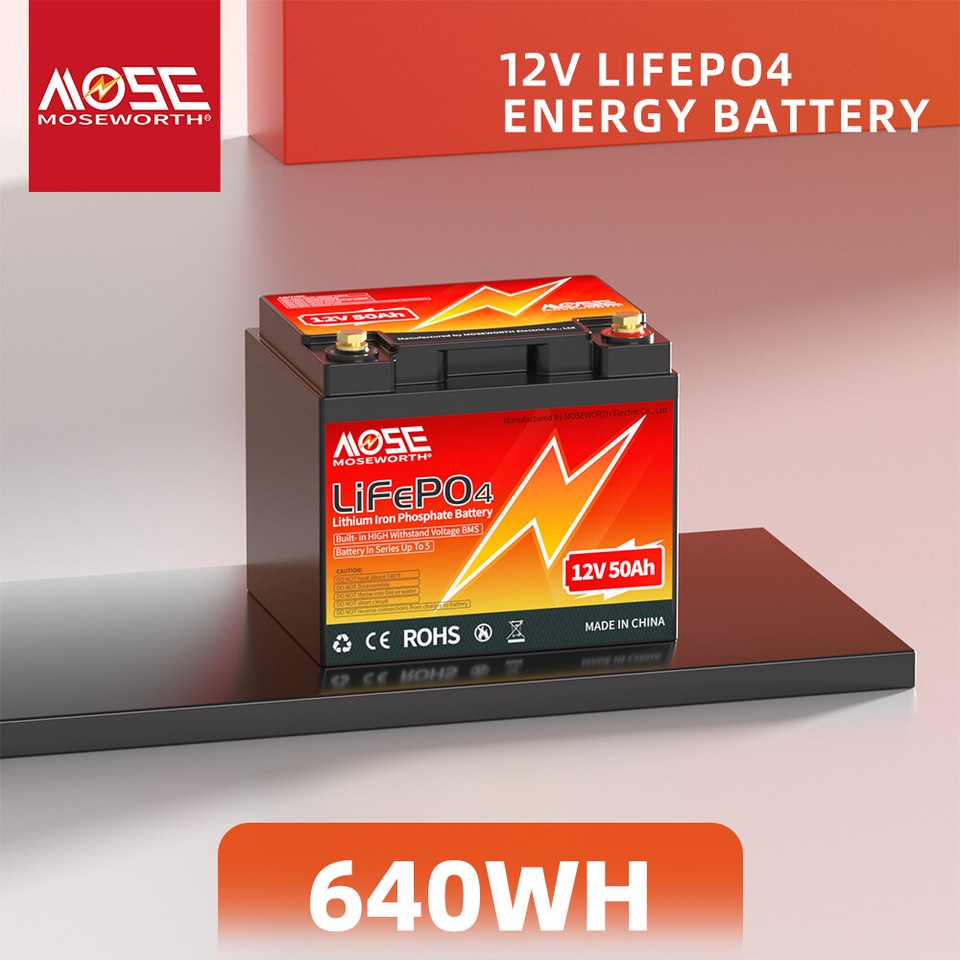 12V 24V 100Ah 168Ah 300Ah LiFePO4 Lithium Battery Deep Cycle BMS Solar ...