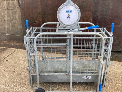 IAE Sheep Lamb Weigher Weigh Scale Mobile Accurate 100kg /220lb. 475 ...