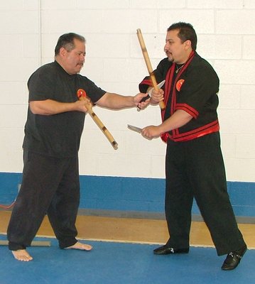 EXPANDABLE BATON ASP #2 DVD Officer Corrections Police Security Weapon ...