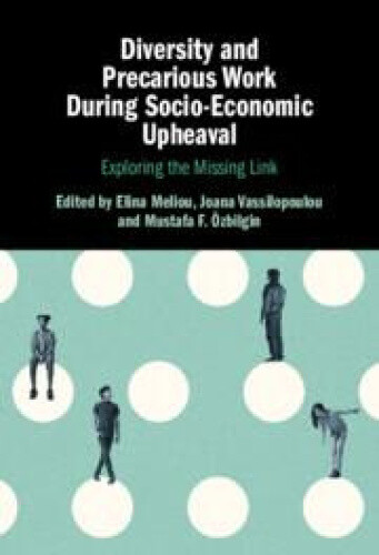 Diversity and Precarious Work During Socio-Economic Upheaval: Exploring ...
