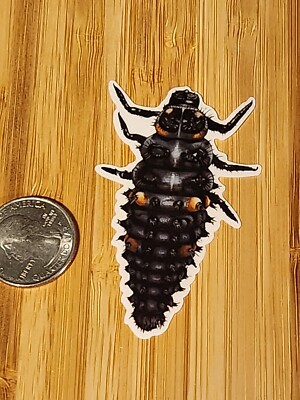 🪳Sticker Insect Sticker Bug Sticker Bugs Insects Creepy Nature Science ...