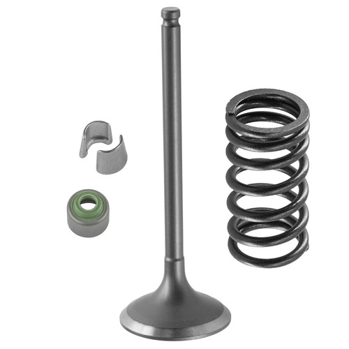 Intake Valve Kit for Yamaha 5TA-12111-00-00 5TA-12113-00-00 1WG-12118 ...