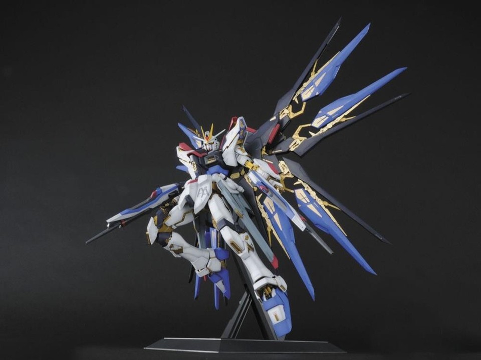 Mobile Suit Gundam SEED Destiny PG Strike Freedom Gundam 1/60 Scale ...