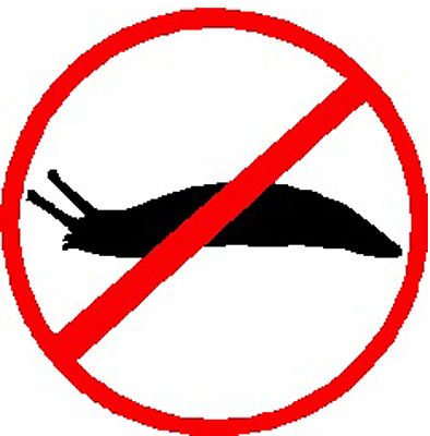 no-slugs-union-sticker CU13A | eBay