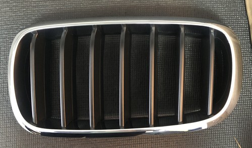 Rejilla renal para radiador lateral izquierdo del conductor BMW X5 F15 ...