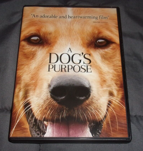 A Dog's Purpose (DVD, 2017) | eBay
