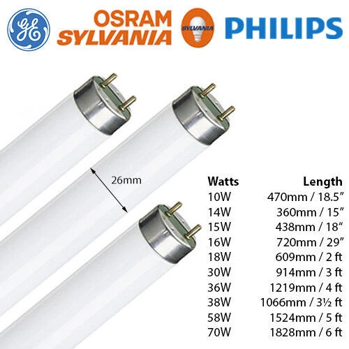 Best T8 Fluorescent Grow Lights | Shelly Lighting