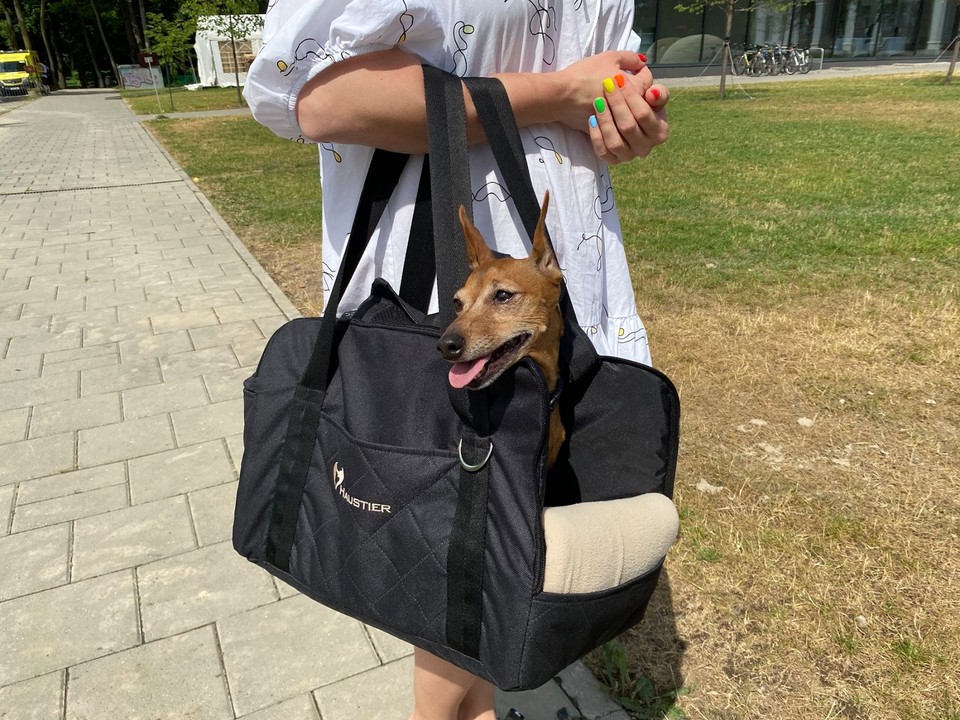Small Dog Carrier Bag Airline Travel Tote Stylish Puppy Carry Handbag ...